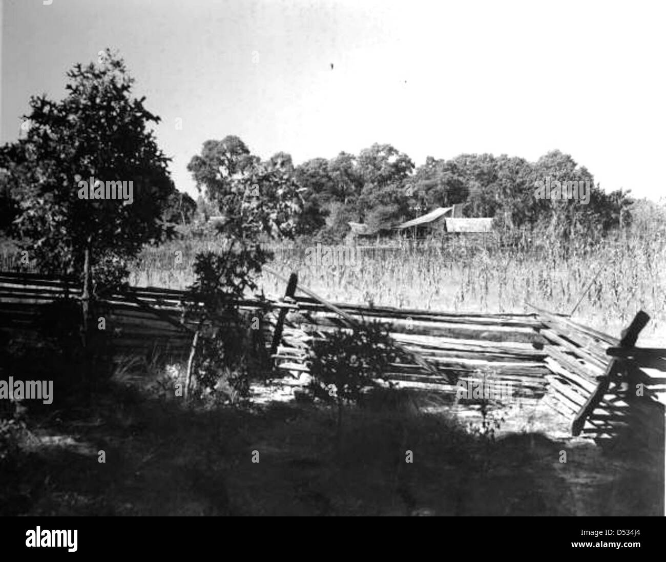 A farm in Alachua County, Florida, used as the filming location for the ...