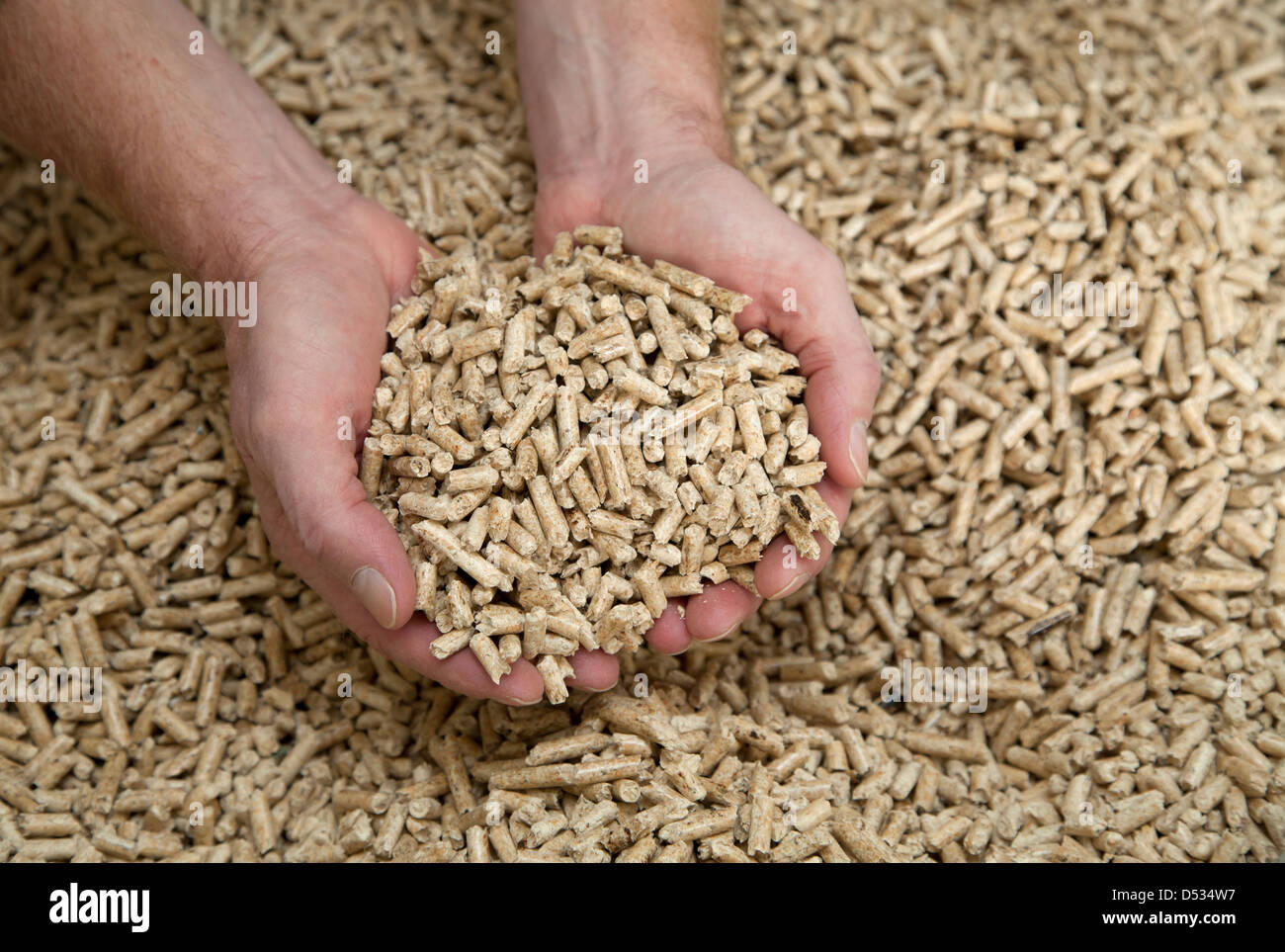 Titz, Germany, production of wood pellets Stock Photo - Alamy