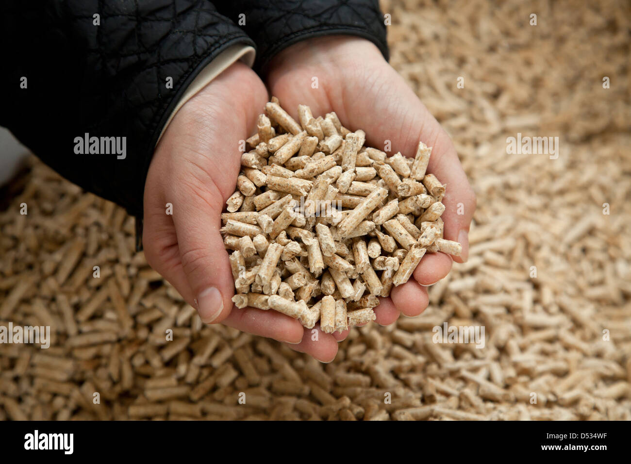 Titz, Germany, production of wood pellets Stock Photo - Alamy