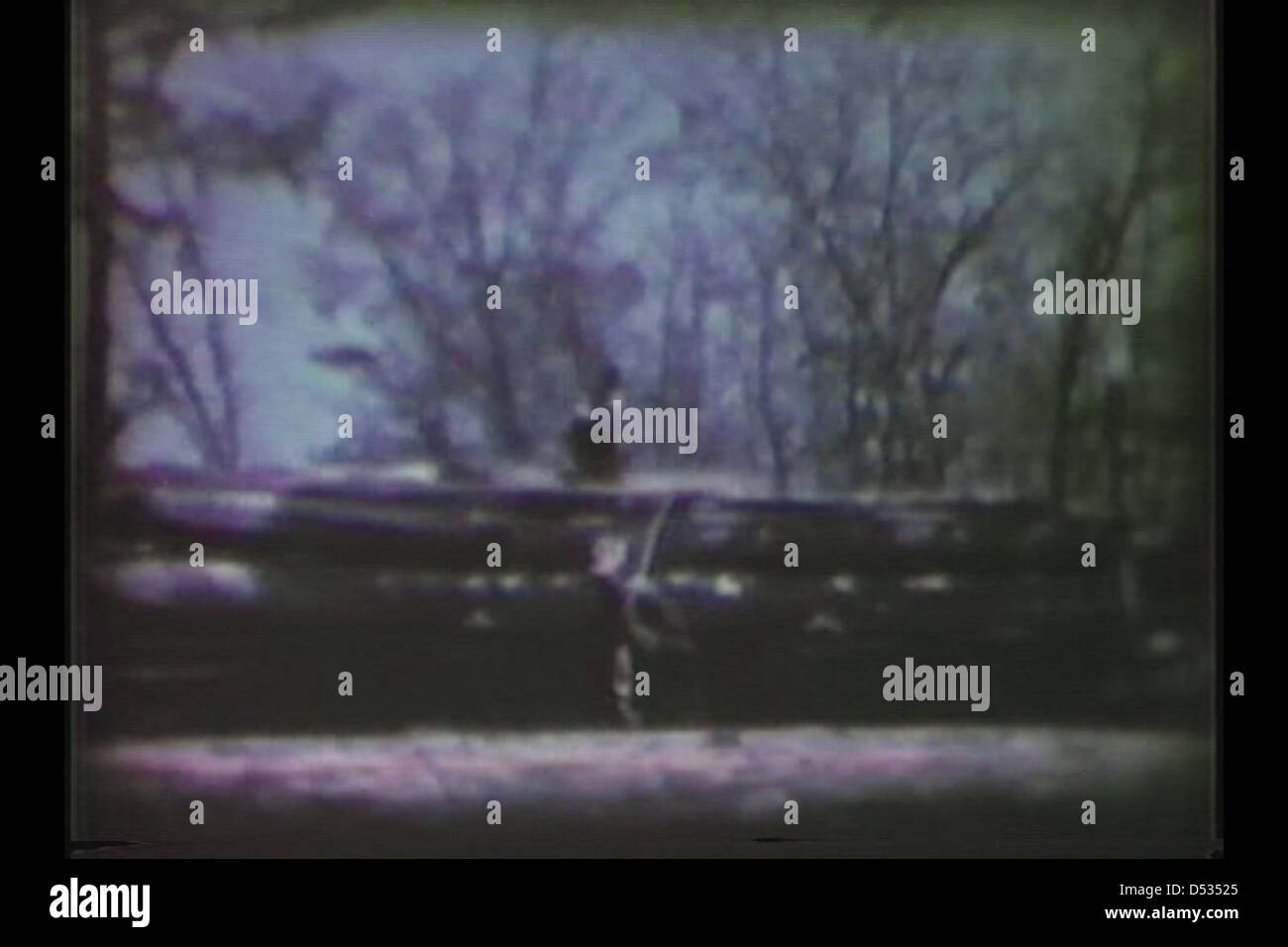 Logging operations in Taylor and Dixie counties, Florida, are ...