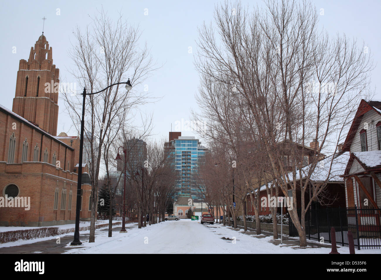 Calgary trees hi-res stock photography and images - Alamy