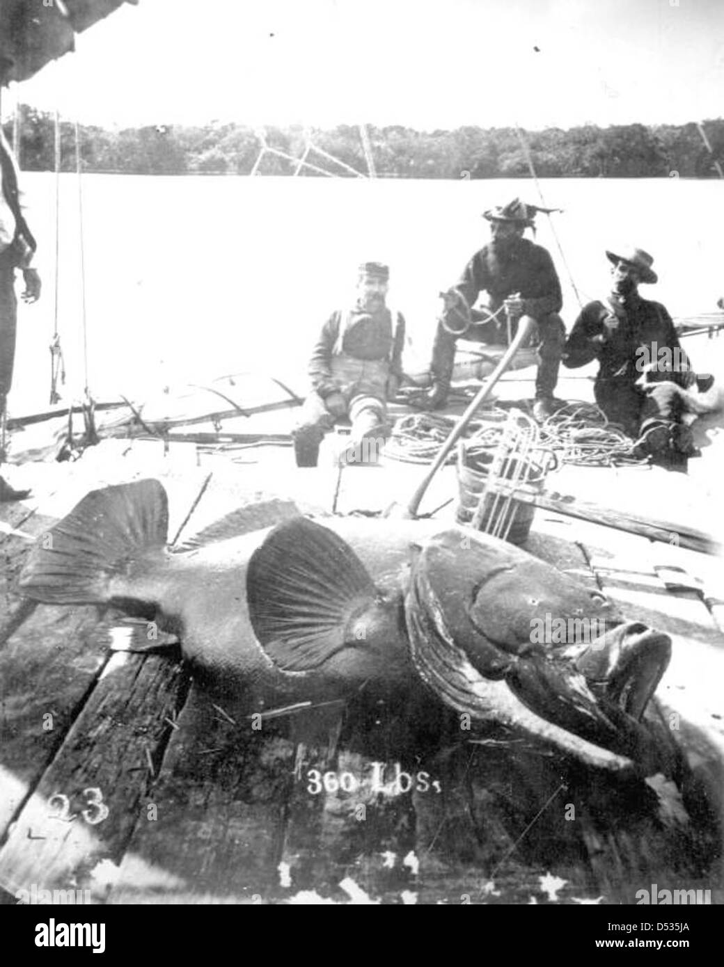 This image shows fishermen at Jupiter Inlet, Florida, posing with a ...