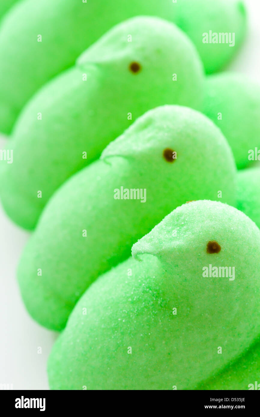 Marshmallow chicks for Easter on a white background Stock Photo - Alamy