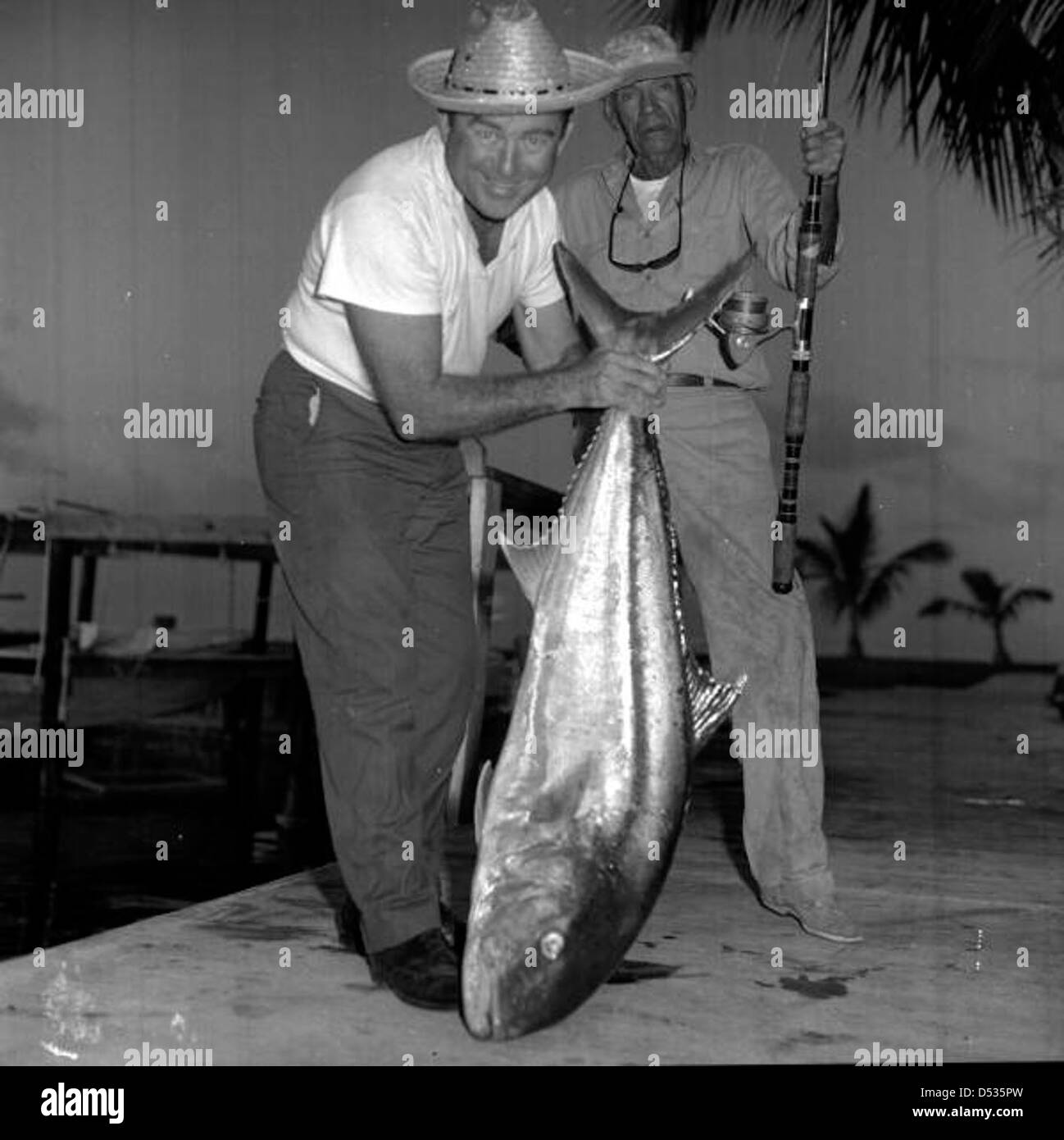 Amberjack florida hi-res stock photography and images - Alamy