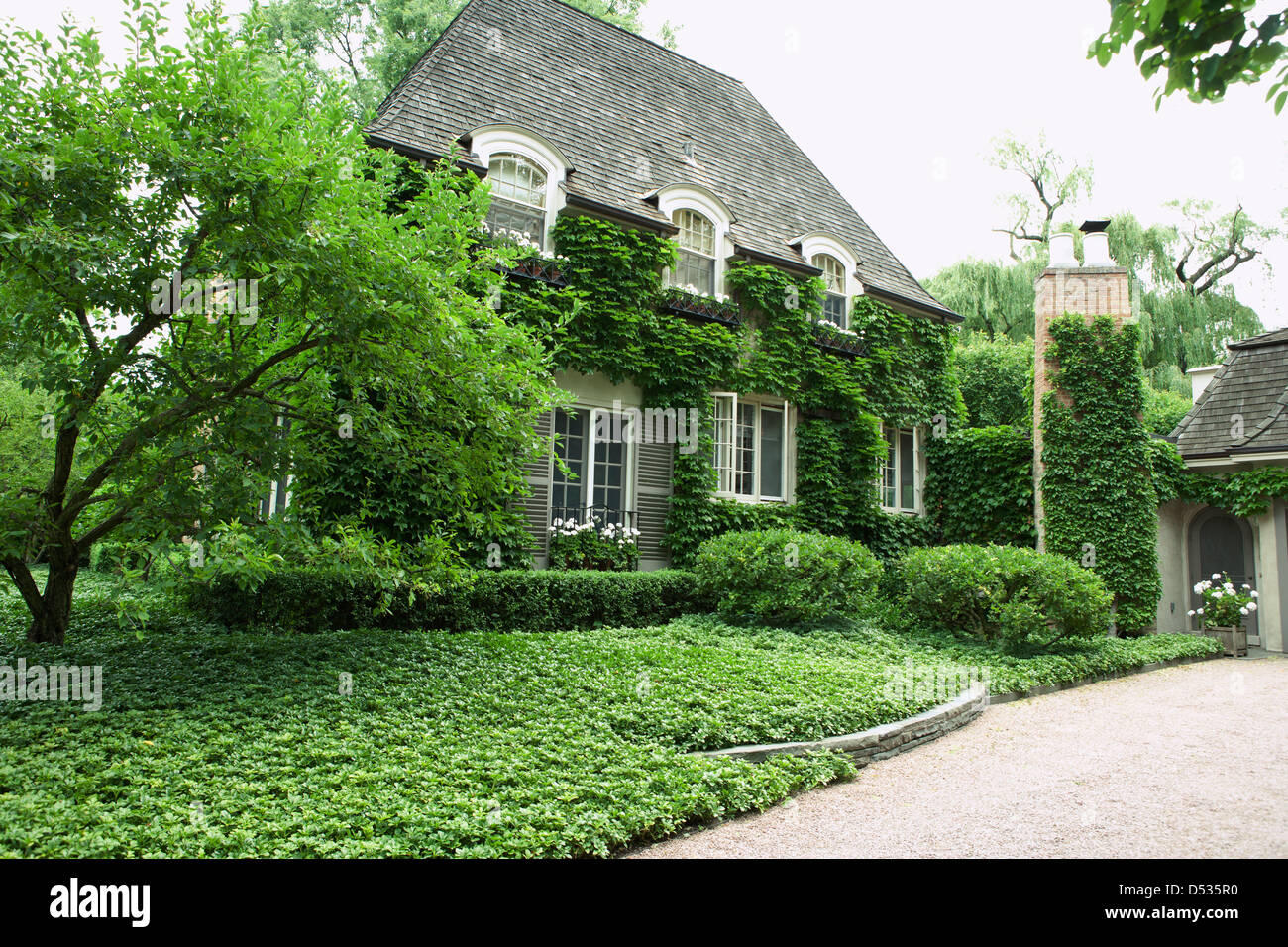 Structure of ivy hi-res stock photography and images - Alamy