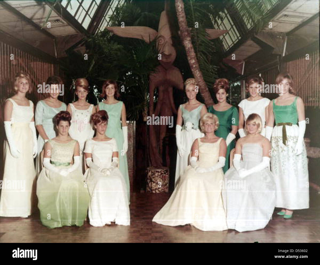 Pine crest school hi-res stock photography and images - Alamy