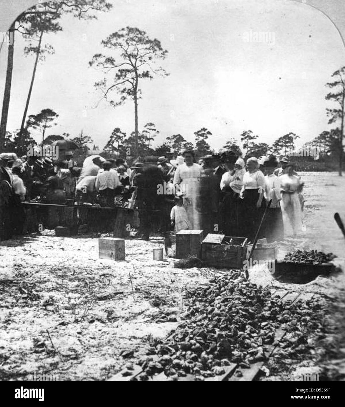 People enjoying a barbecue cookout, showcasing the communal and ...