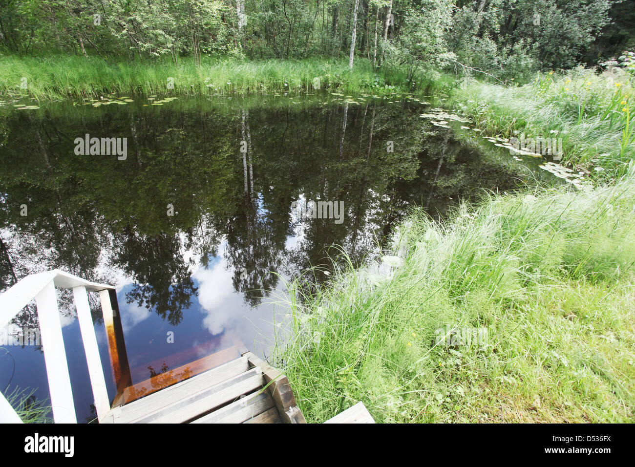 swimming pond and in the water ramps Stock Photo - Alamy