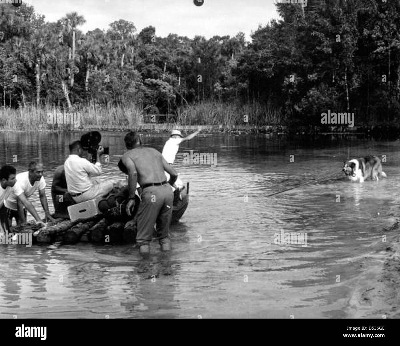 Lassie tv hi-res stock photography and images - Alamy