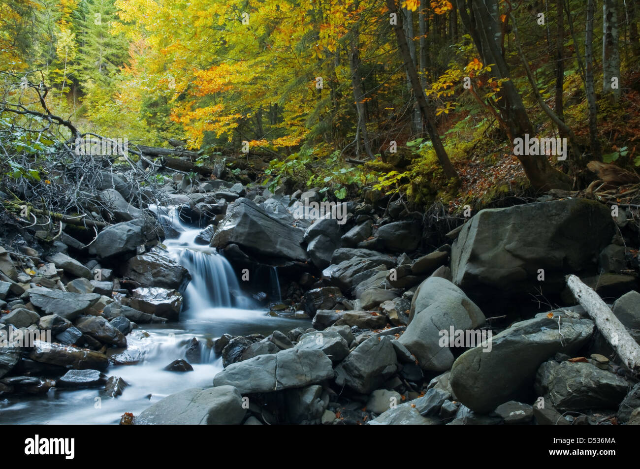 Rainforest waterfall hi-res stock photography and images - Alamy