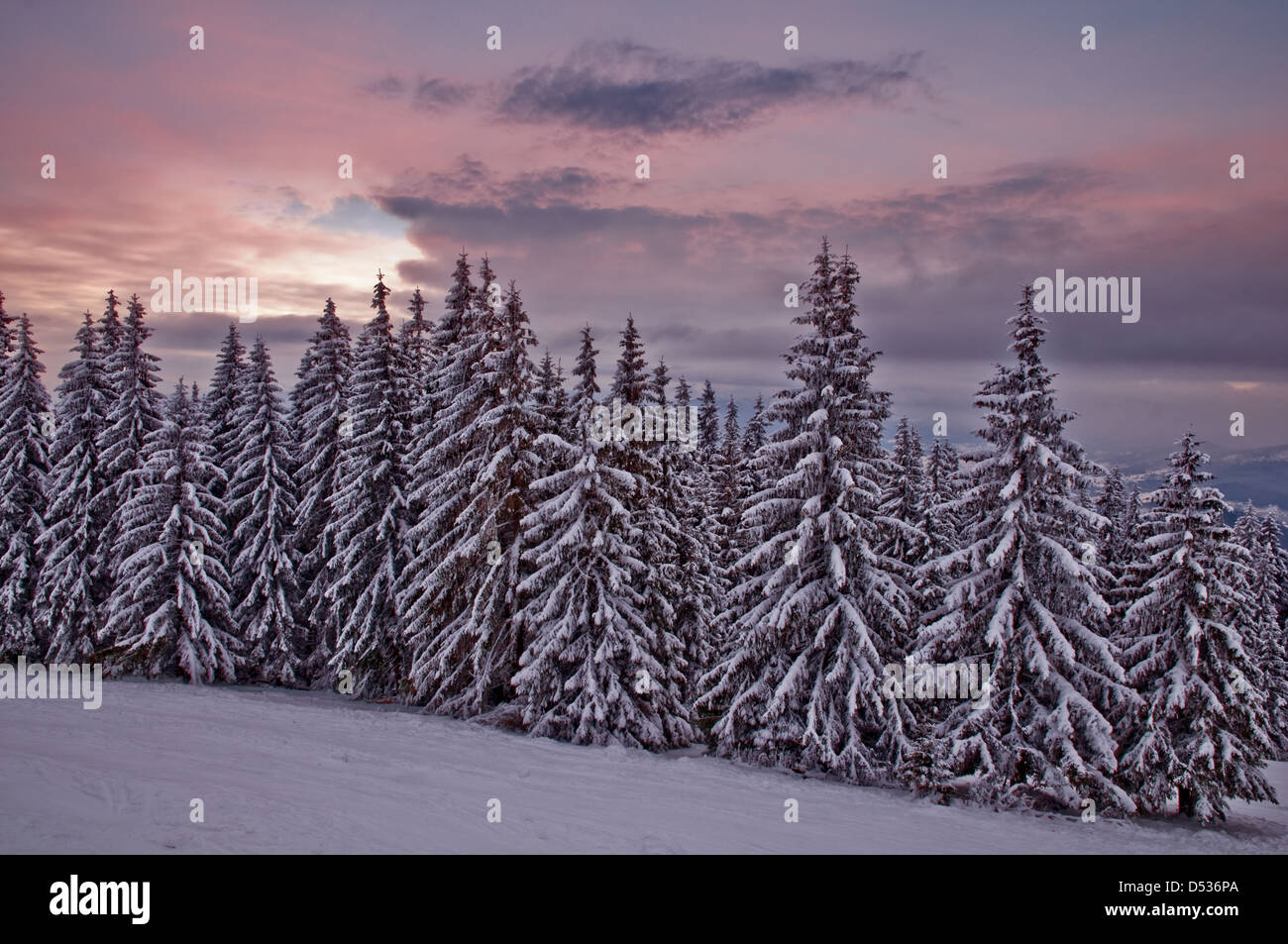 Sunrise with pink sky hi-res stock photography and images - Alamy