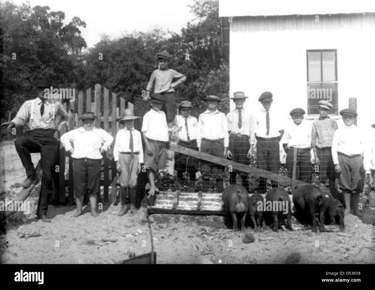 Boy's pig club group portrait: Hernando County, Florida Stock Photo - Alamy