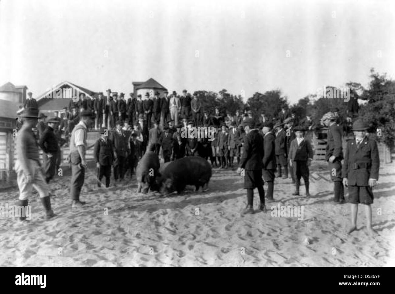 Judging station hi-res stock photography and images - Alamy