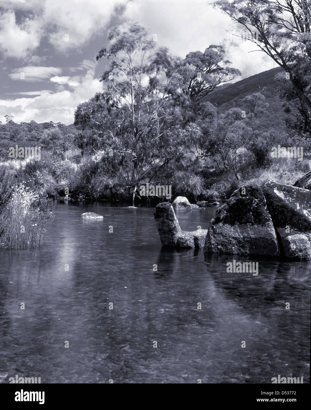Australian trout fishing hi-res stock photography and images - Alamy