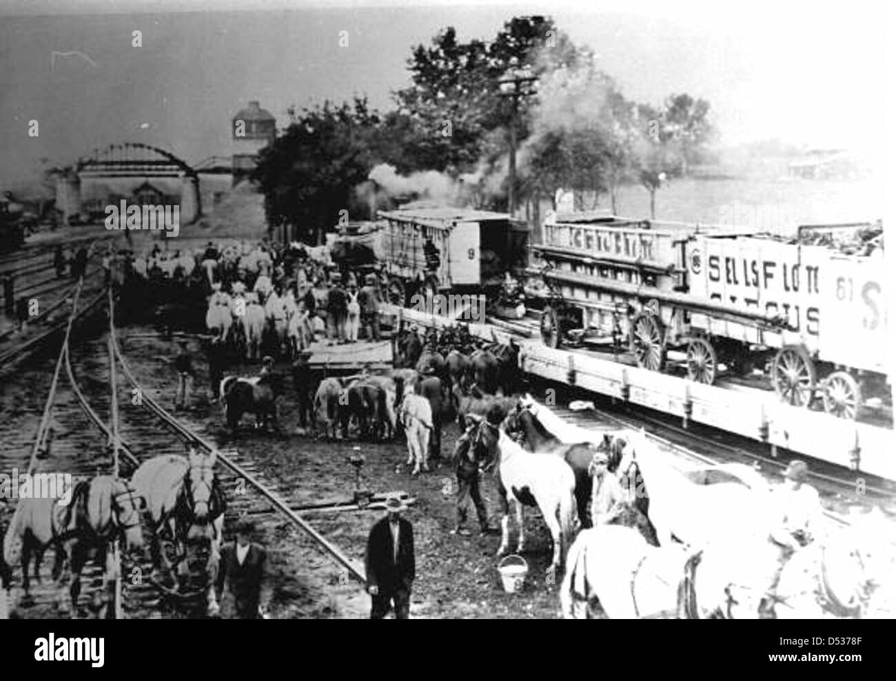 Circus train hi-res stock photography and images - Alamy