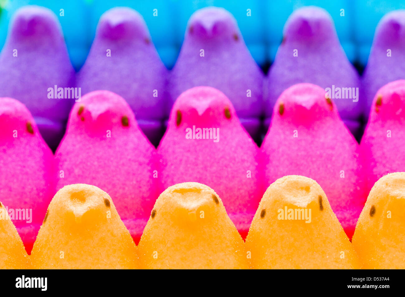 Marshmallow chicks for Easter on a white background Stock Photo - Alamy