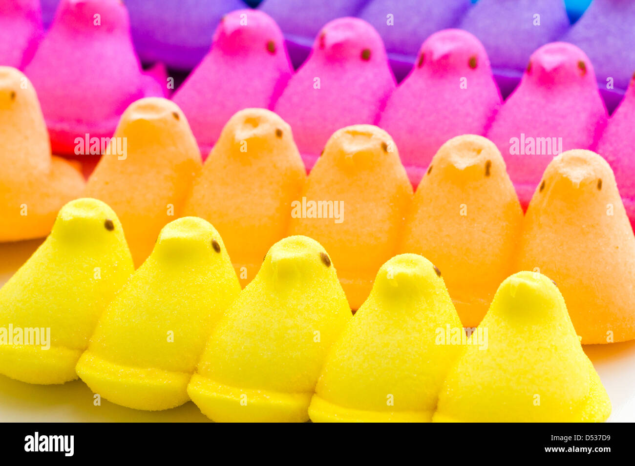 Marshmallow chicks for Easter on a white background Stock Photo - Alamy