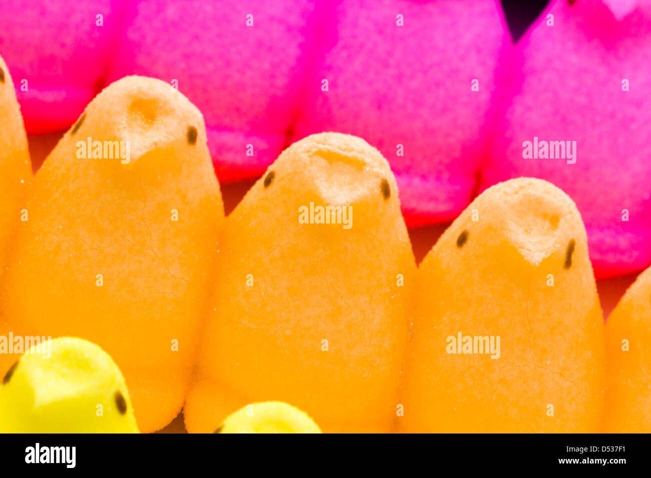 Marshmallow chicks for Easter on a white background Stock Photo - Alamy
