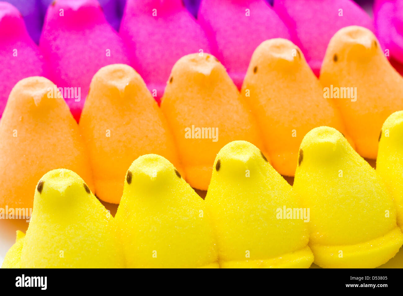 Marshmallow chicks for Easter on a white background Stock Photo - Alamy
