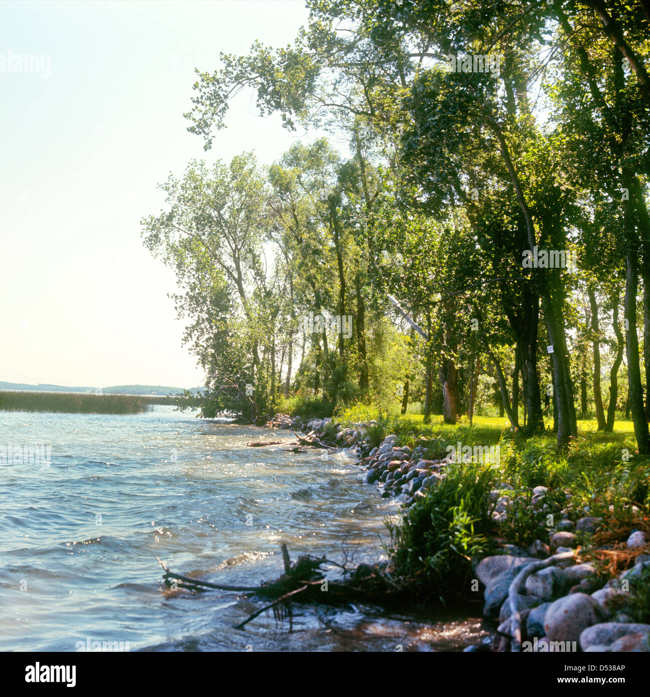 Shoreline of Lake Clitherall. Clitherall Minnesota MN USA Stock Photo ...