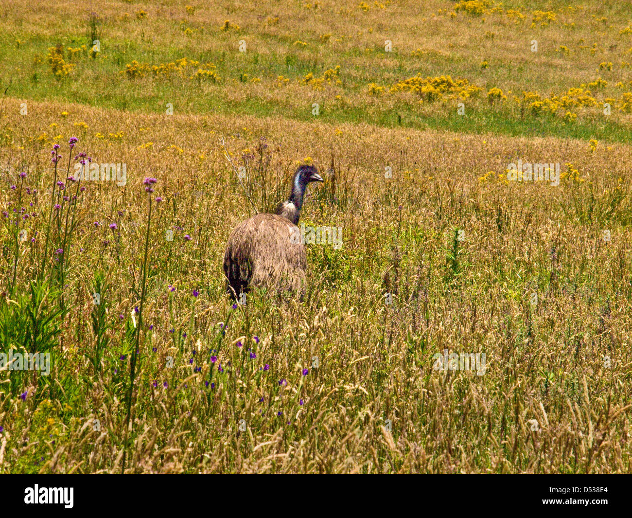 Blowering dam hi-res stock photography and images - Alamy