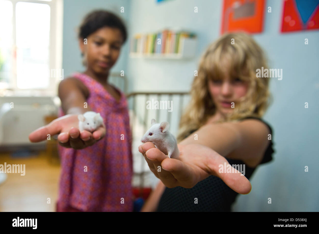 Berlin, Germany, two girls with two white mice Stock Photo - Alamy