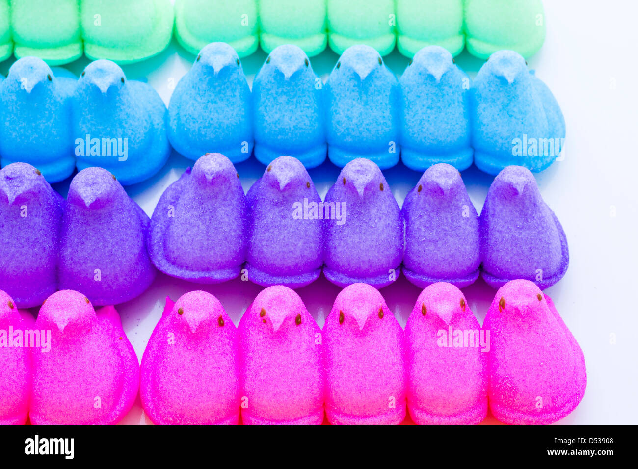 Marshmallow chicks for Easter on a white background Stock Photo - Alamy
