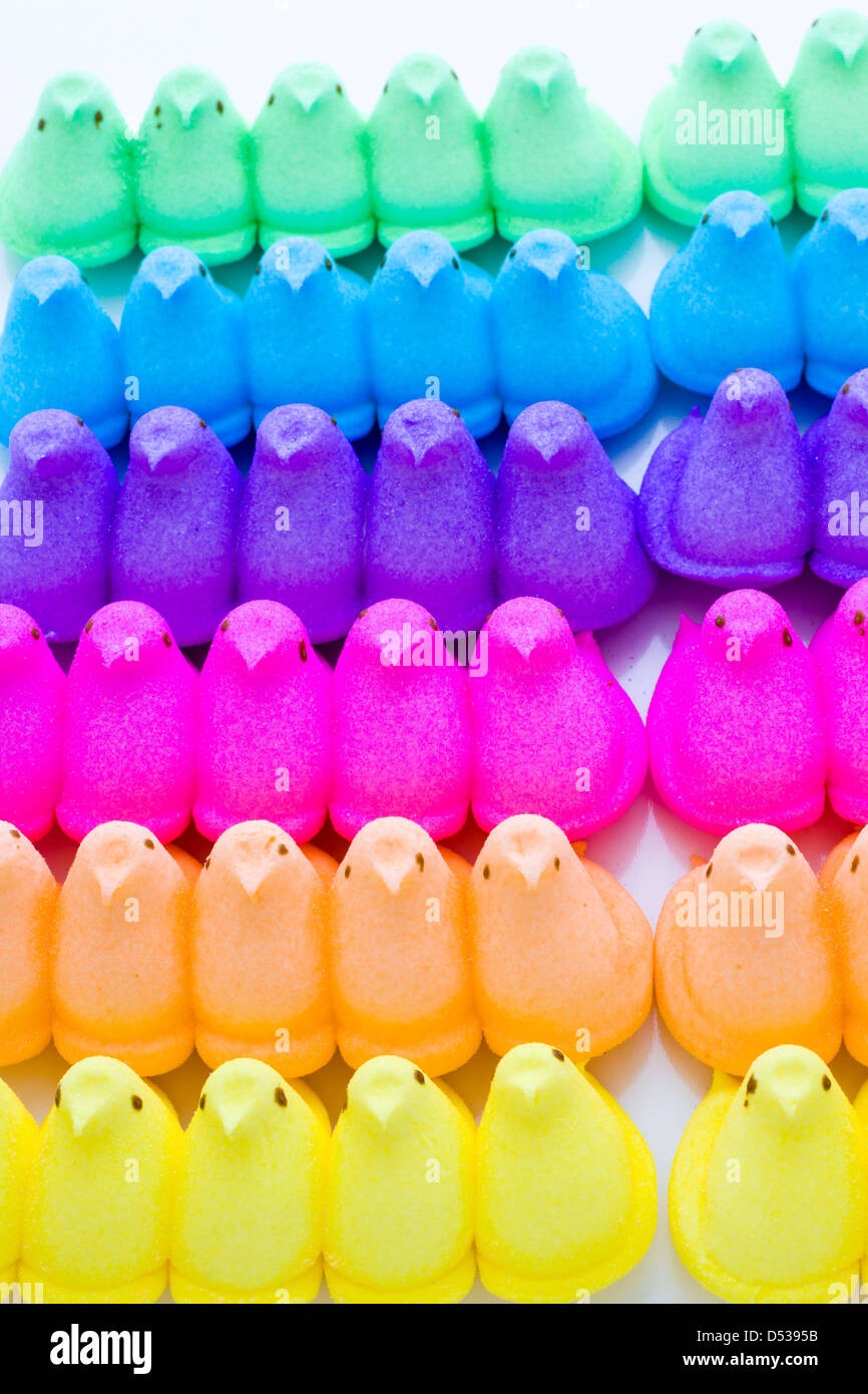 Marshmallow chicks for Easter on a white background Stock Photo - Alamy