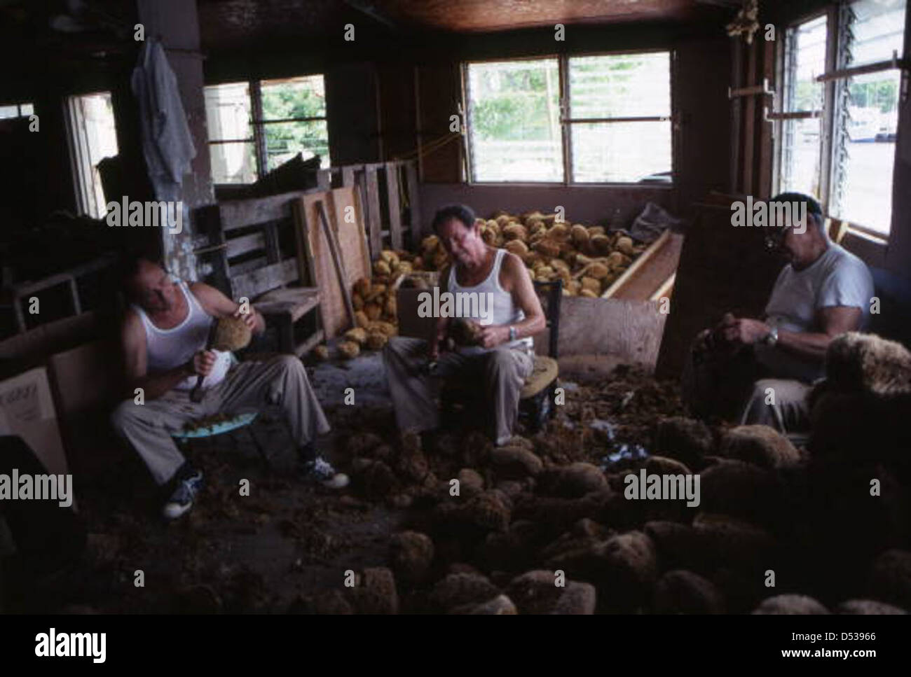 Men cutting sponges: Miami, Florida Stock Photo - Alamy
