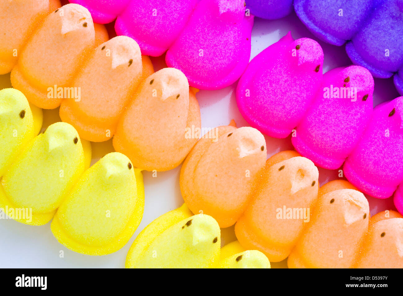 Marshmallow chicks for Easter on a white background Stock Photo - Alamy