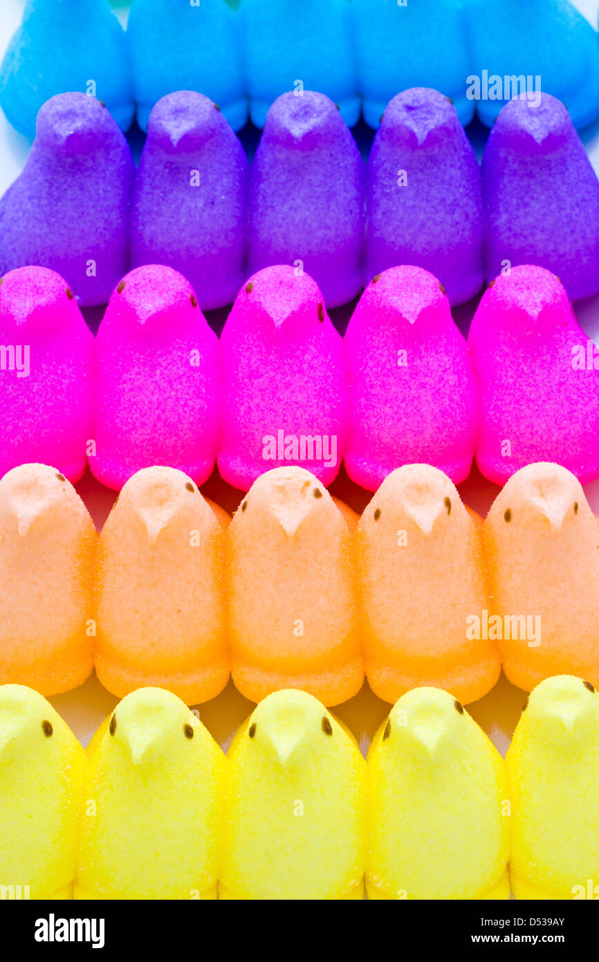 Marshmallow chicks for Easter on a white background Stock Photo - Alamy