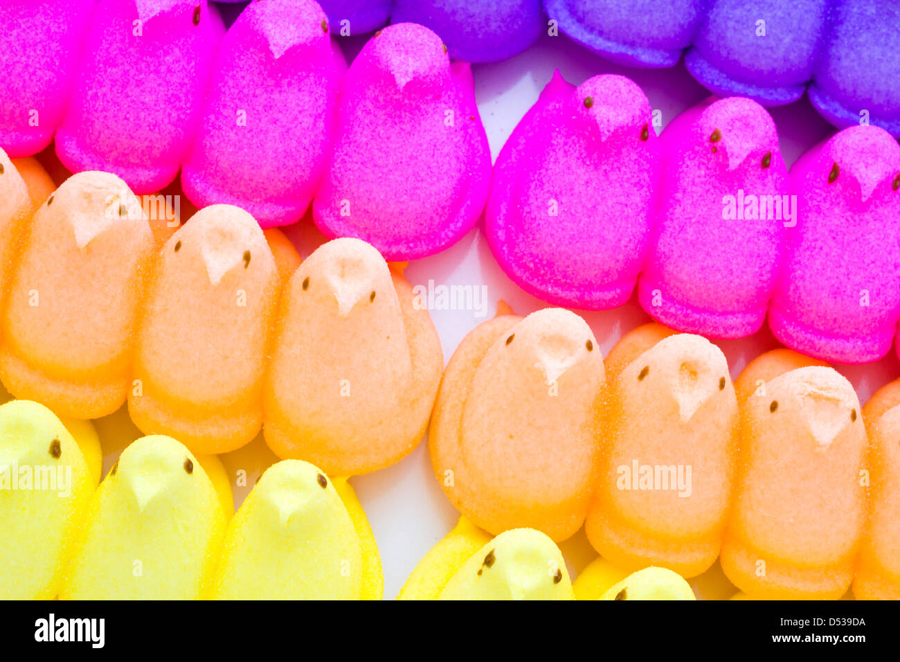 Marshmallow chicks for Easter on a white background Stock Photo - Alamy
