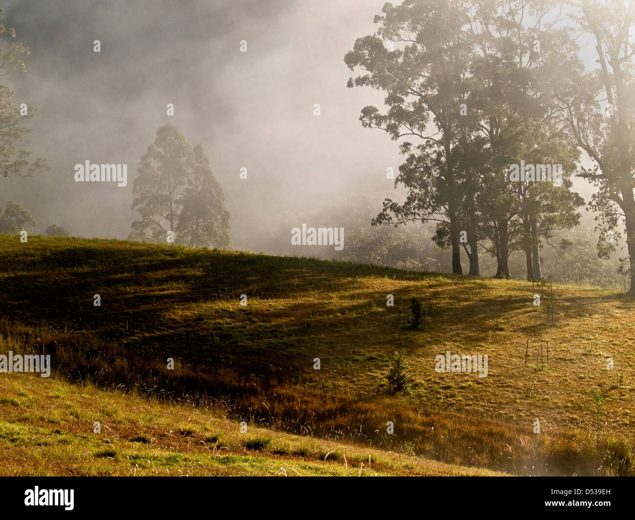 Macquarie valley hi-res stock photography and images - Alamy