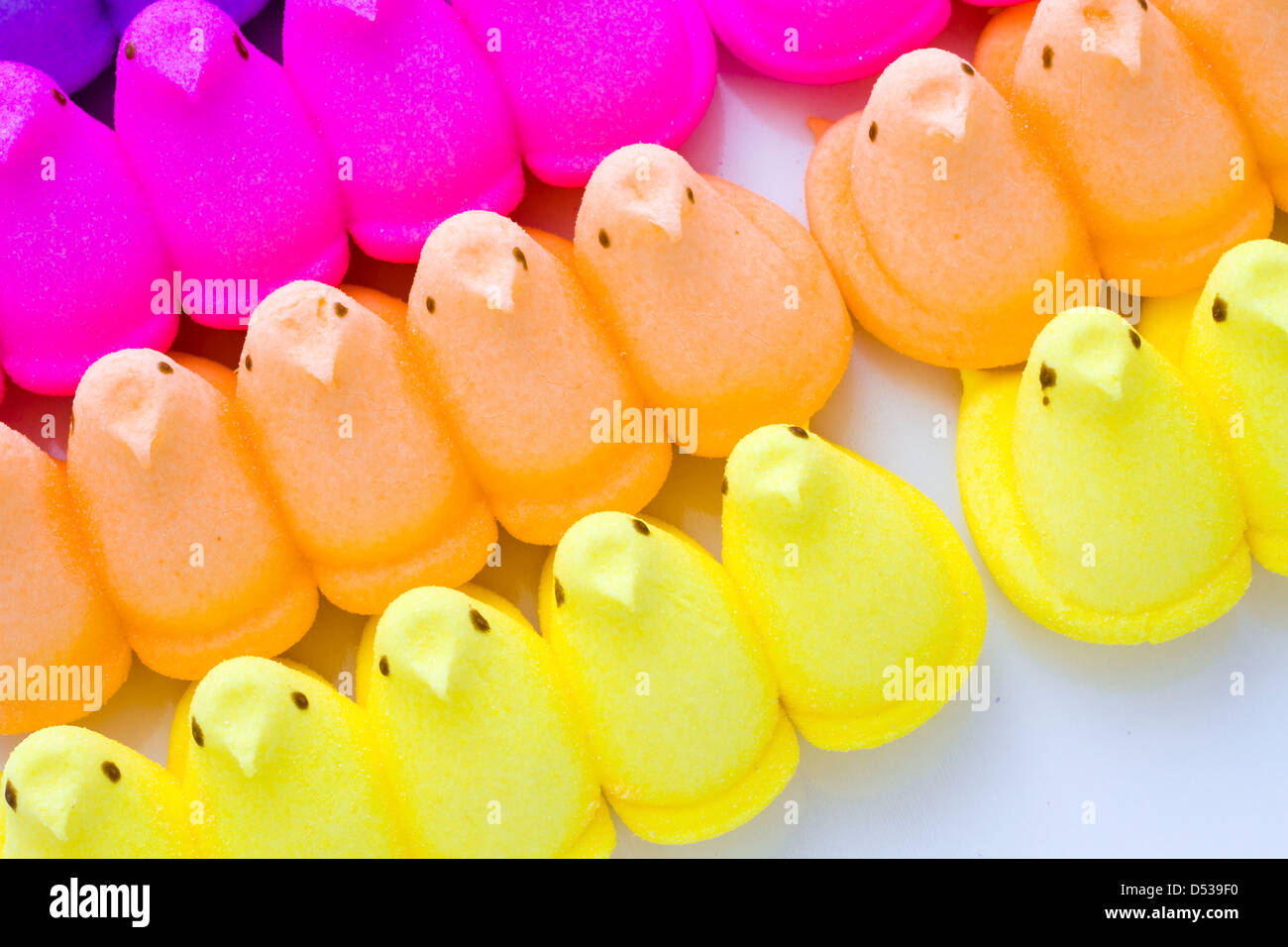 Marshmallow chicks for Easter on a white background Stock Photo - Alamy