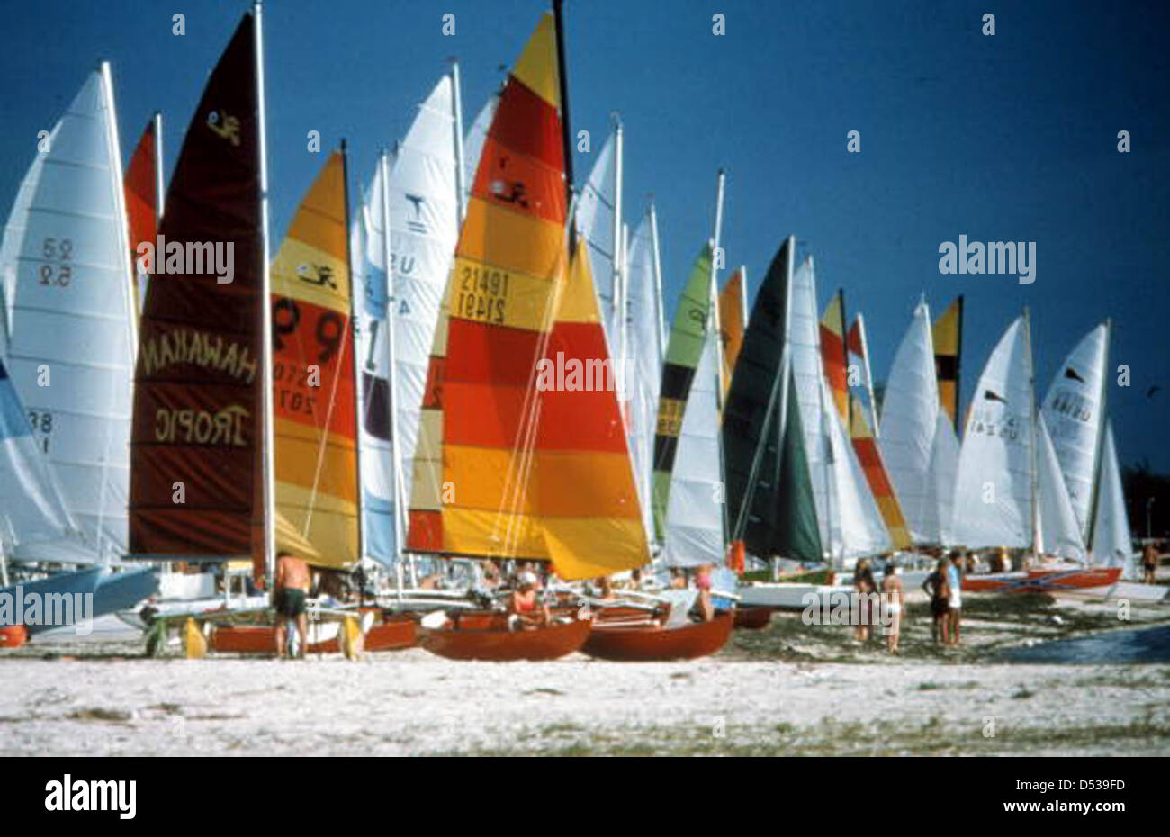 Hobie cats sail across Smathers Beach in Key West, Florida, as captured ...
