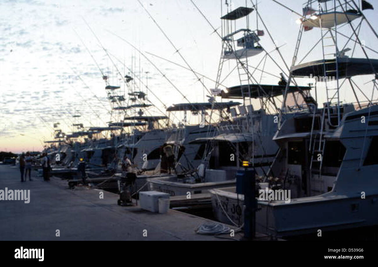 Stock island marina key west hi-res stock photography and images - Alamy