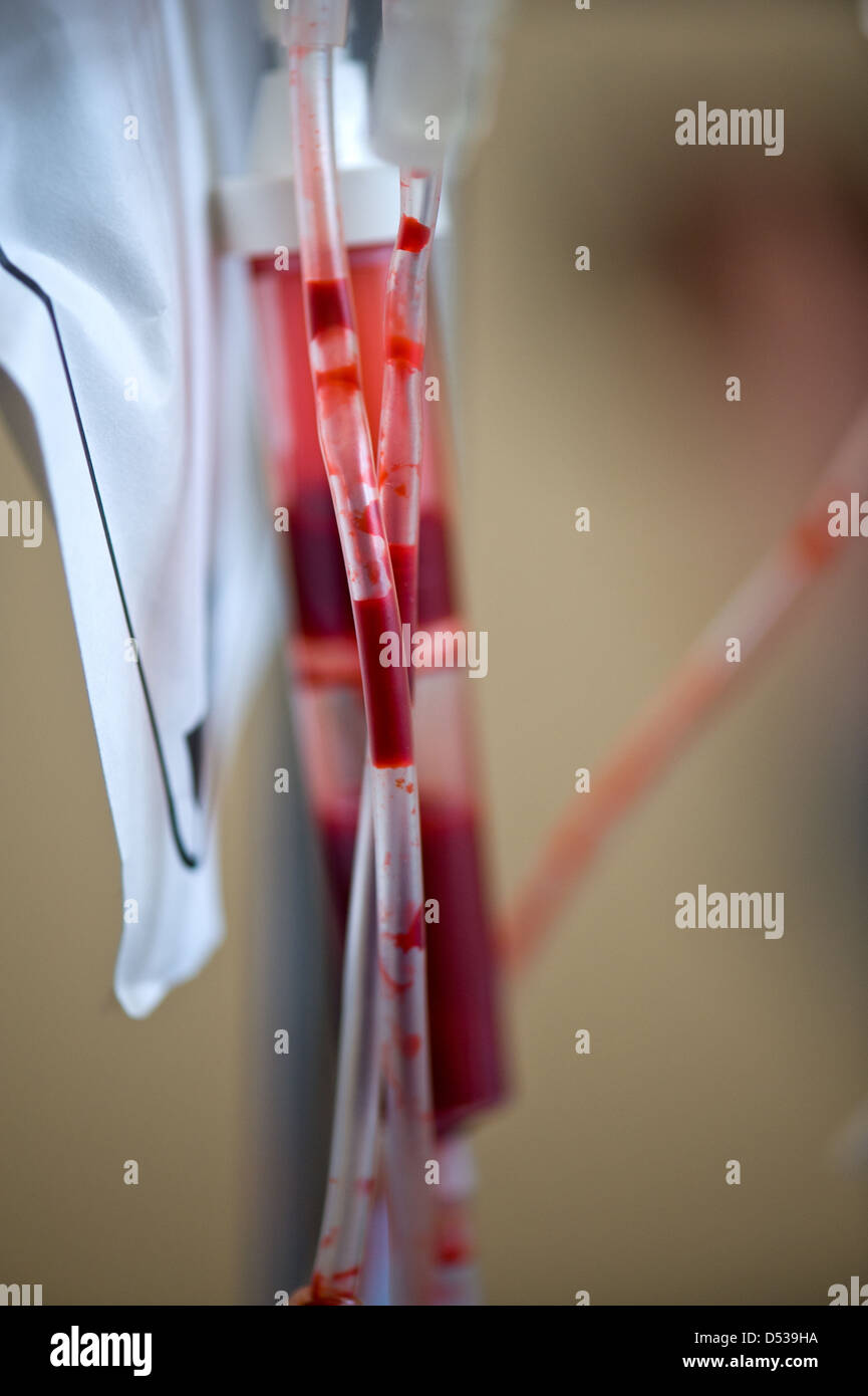 Berlin, Germany, blood transfusion Stock Photo - Alamy