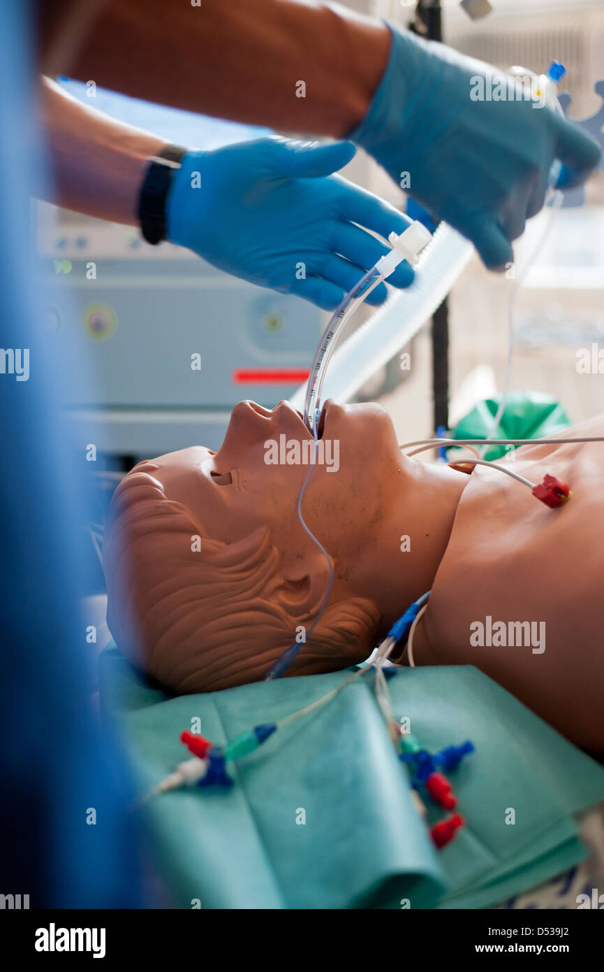 Medical simulation student hi-res stock photography and images - Alamy