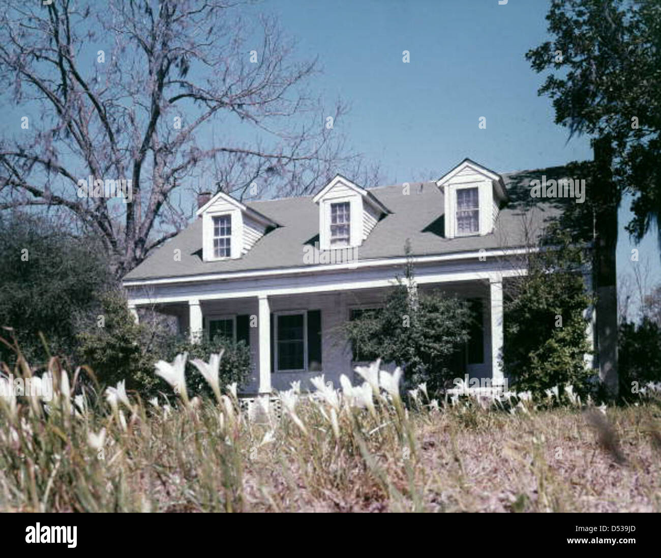 Bellevue, also known as the Princess Murat Home, is a historic building ...