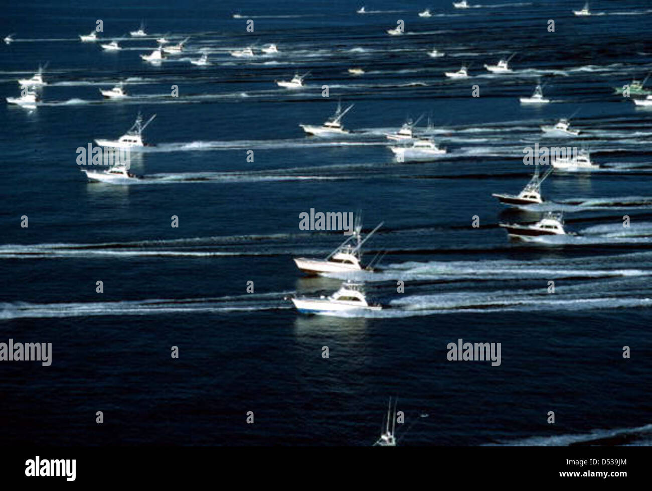 Marlin tournament key west hi-res stock photography and images - Alamy