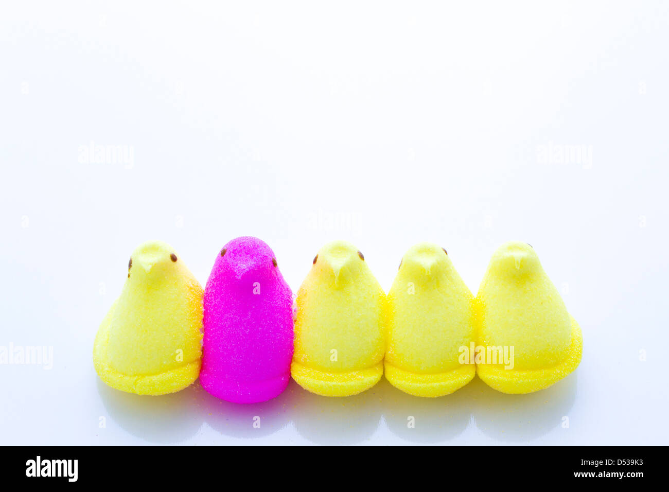 Marshmallow chicks for Easter on a white background Stock Photo - Alamy