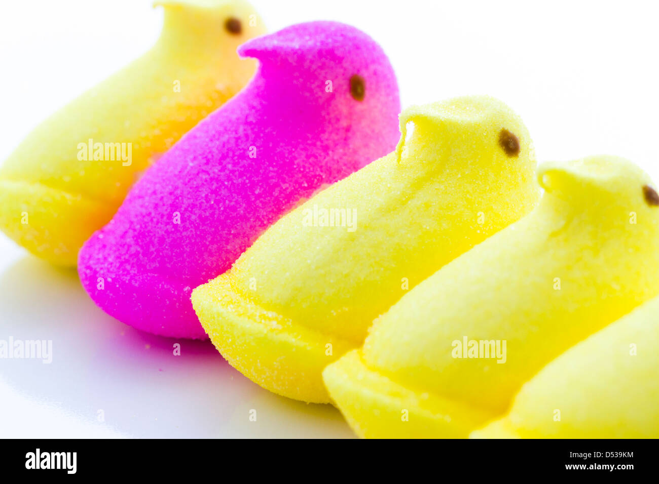 Marshmallow chicks for Easter on a white background Stock Photo - Alamy