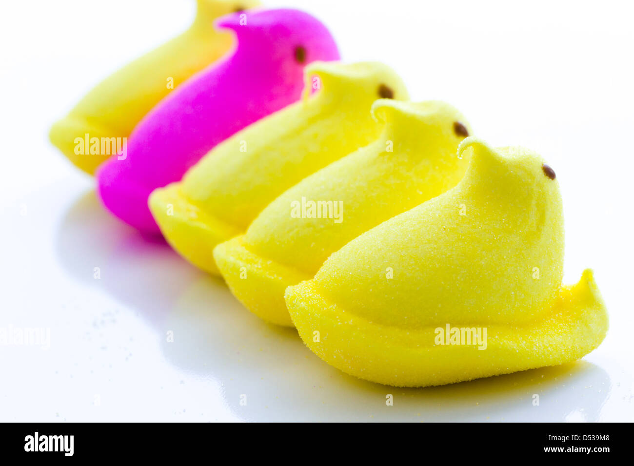 Marshmallow chicks for Easter on a white background Stock Photo - Alamy