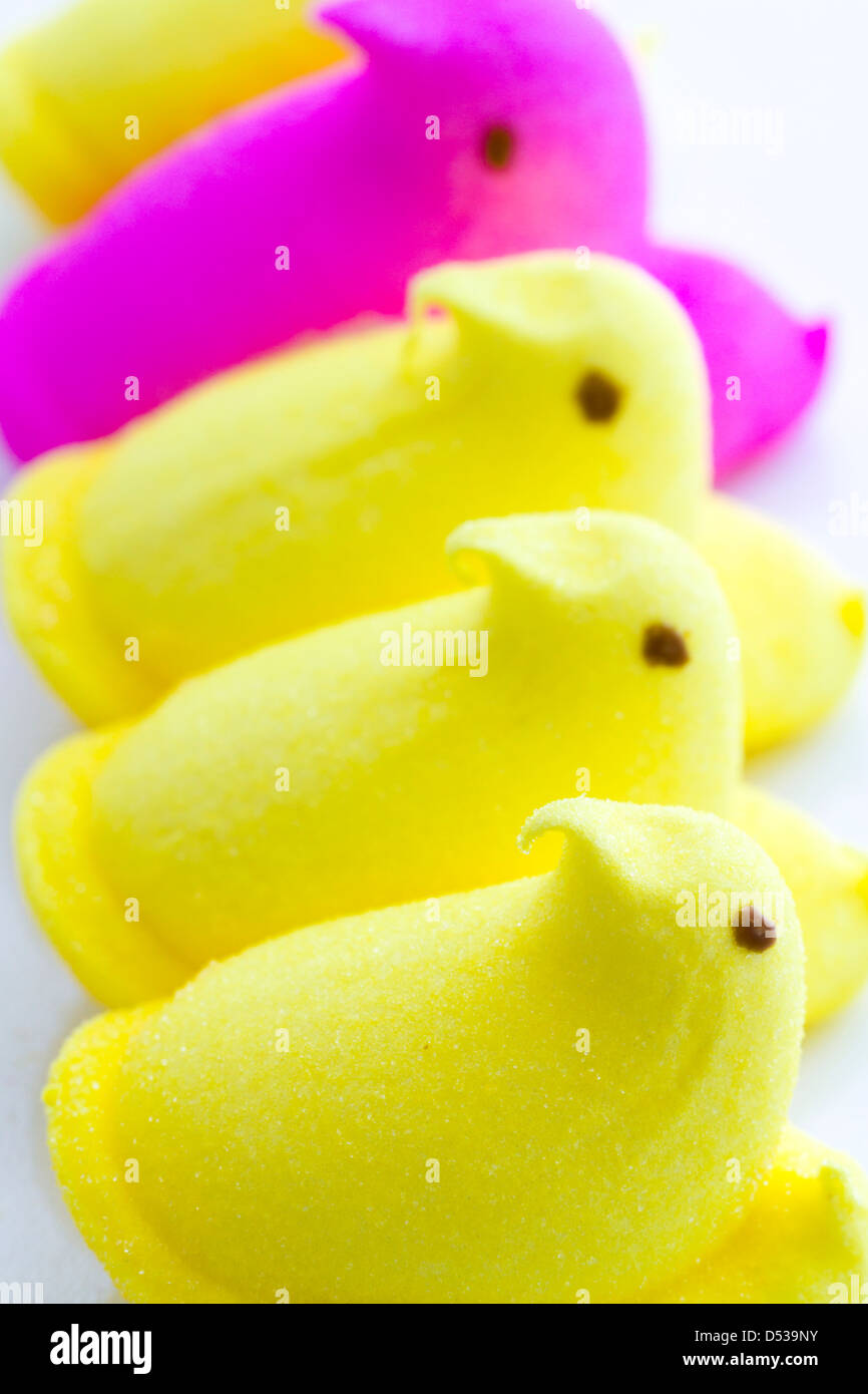 Marshmallow chicks for Easter on a white background Stock Photo - Alamy