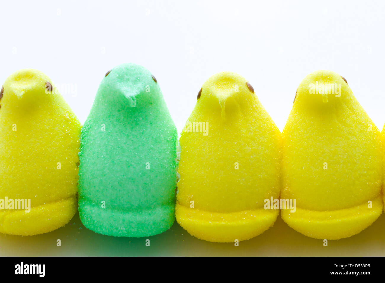 Marshmallow chicks for Easter on a white background Stock Photo - Alamy