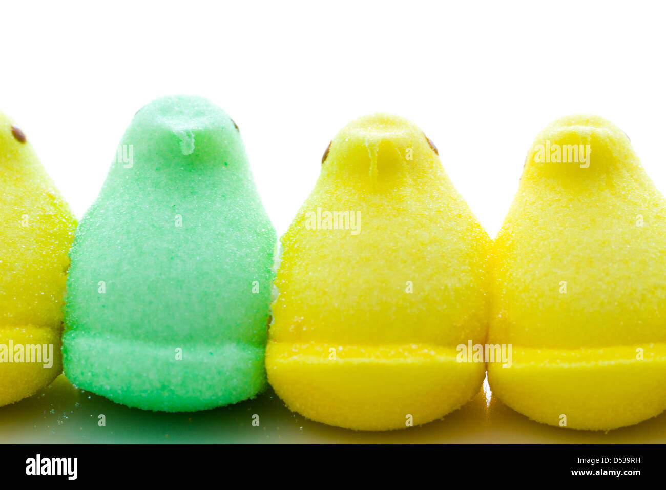 Marshmallow chicks for Easter on a white background Stock Photo - Alamy