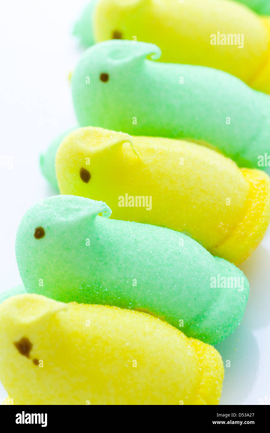 Marshmallow chicks for Easter on a white background Stock Photo - Alamy