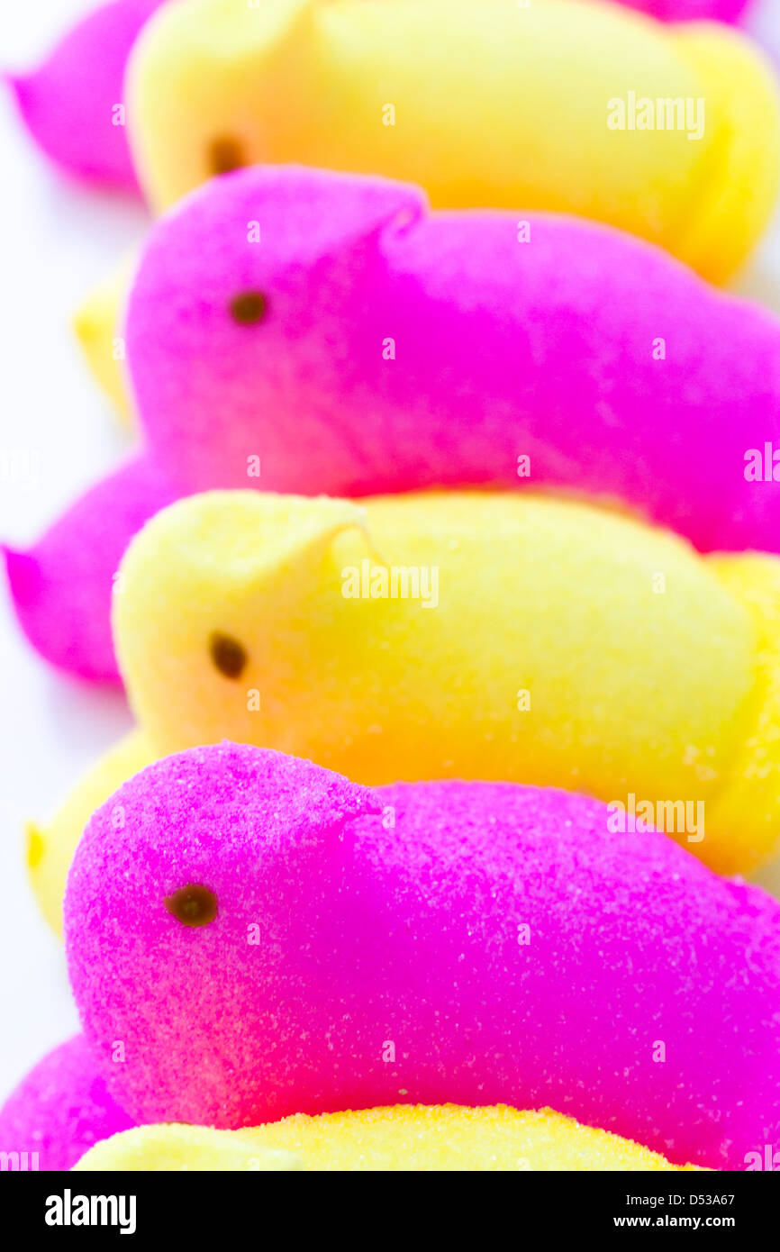 Marshmallow chicks for Easter on a white background Stock Photo - Alamy