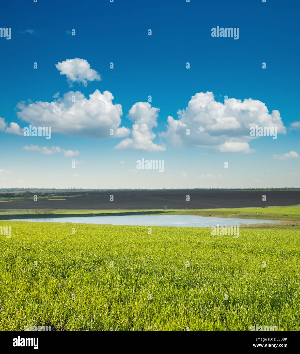 spring landscape with green field and pond Stock Photo - Alamy
