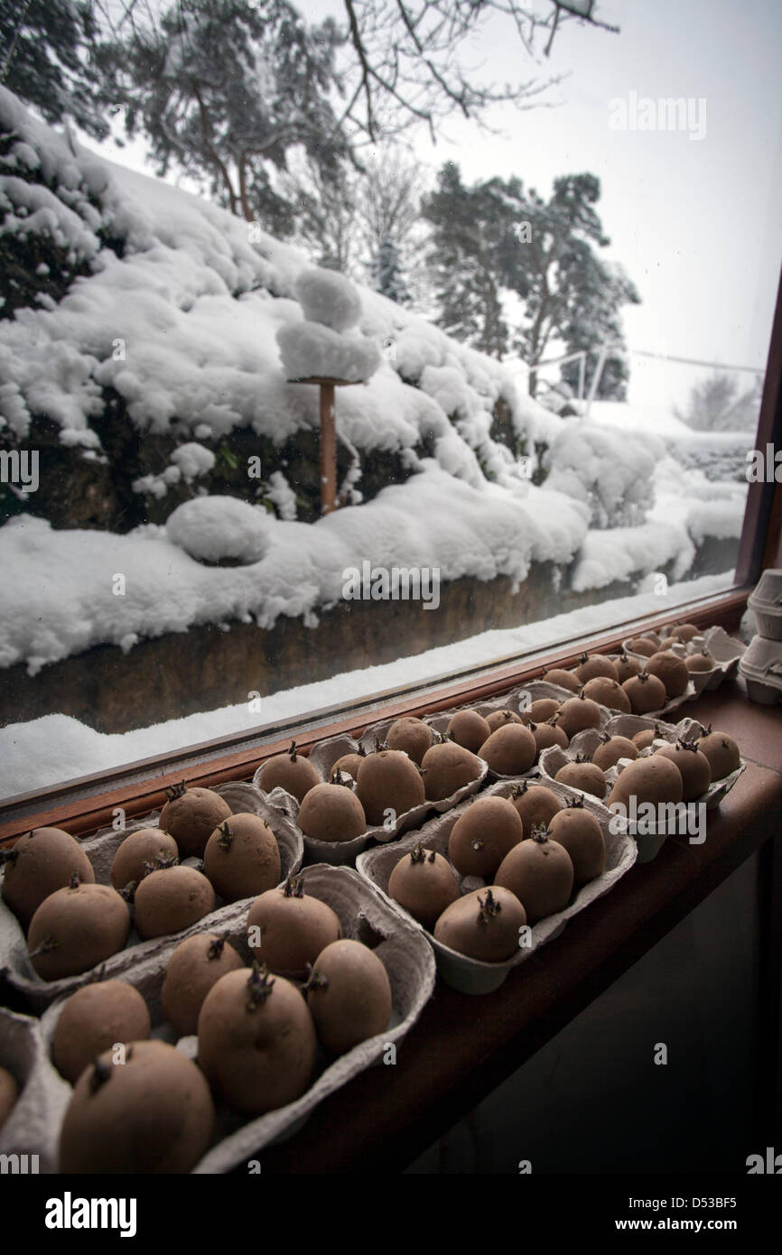 Potatoes window hi-res stock photography and images - Alamy